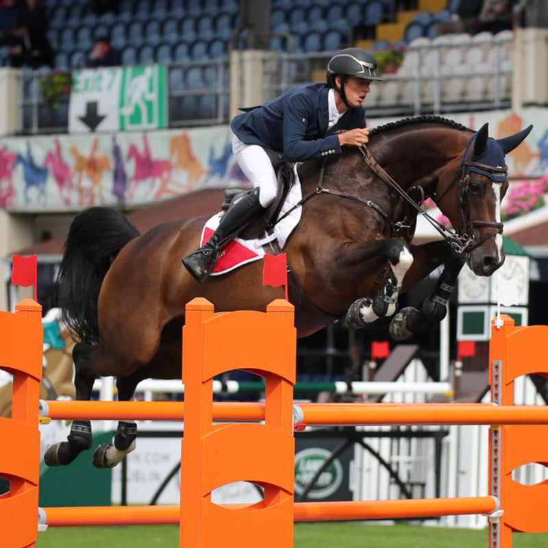 Foran Equine - Performance