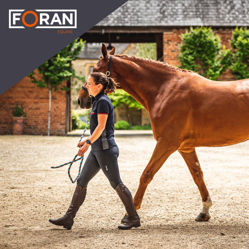 Foran Equine